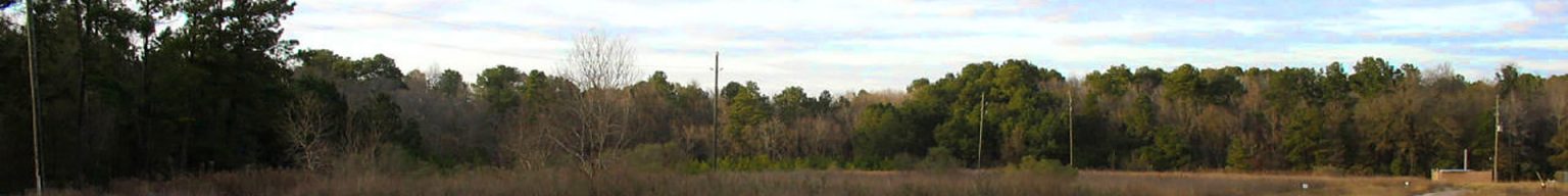 Project Updates – Charlie Burch Project